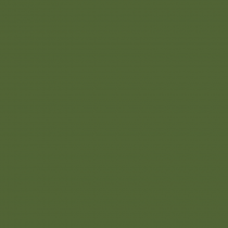 Pot de peinture 1L - Fendt - RAL/teinte: Vert (ancien) - Wiclkens NoPolux