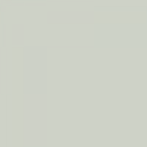 Pot de peinture 1L - New Holland - RAL/teinte: Blanc - Wiclkens NoPolux