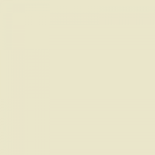 Pot de peinture 1L - Trioliet - RAL/teinte: Blanc perlé - Wiclkens NoPolux